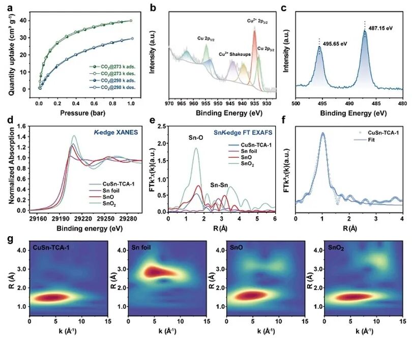 赵斌、徐航：MOF限域纳米颗粒与单原子串联催化CO₂高效电合成C₂H₄